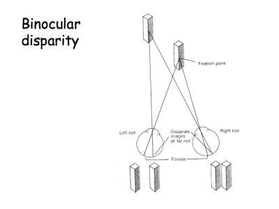 Thegaitguys Tumblr Com Tumbex