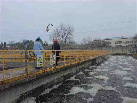 Highly Effective Probiotics Microbial Agent For Wastewater Treatment