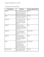Cranial Nerves Chart Anatomy Physiology Honors Ms Sutton Fill In The Chart For The 12