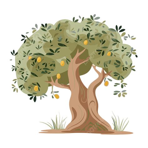 Olive Tree Vector Sticker Clipart The Illustration Shows An Olive Tree With Lemons On It