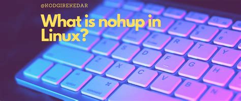 What Is Nohup In Linux Dev Community