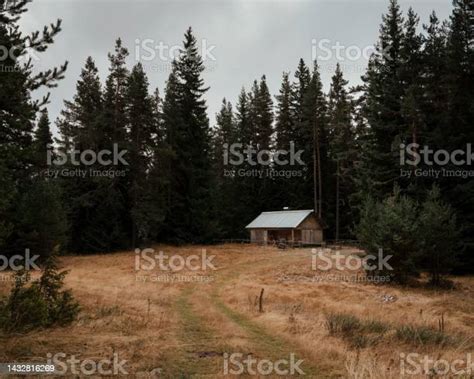 우울한 날에 목조 주택과 녹색 소나무 숲에 대한 들판의 경치 좋은 전망 0명에 대한 스톡 사진 및 기타 이미지 0명 경관 관목 Istock