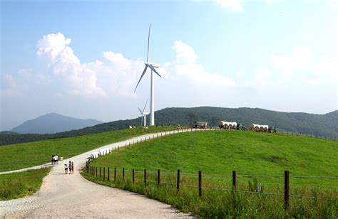 당일 대관령 여행코스 추천