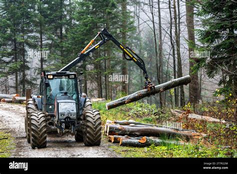 A Specialized Forest Tractor Working With Logging In The Rain In The