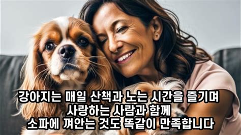 카발리어 킹 특유의 스패니얼 강아지의 역사 성격 에 관한 꿀팁 Youtube