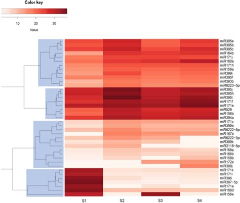 Hierarchical Heatmap Clustering Mirna Expression Level Along With The