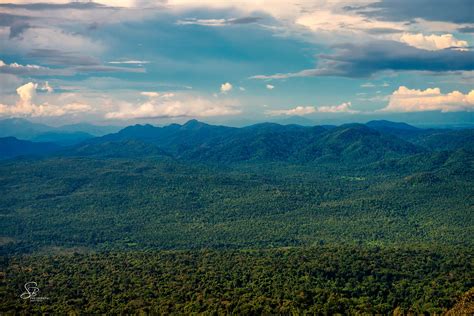 ក្រុមហ៊ុនអ្នកឧកញ៉ា ជឹង សុគន្ធាវី ទទួលបានដីឧទ្យានជាតិគិរីរម្យជាង ២០០ហិកតា