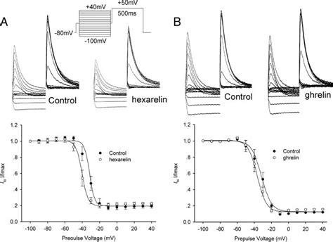Effect Of Ghs On The Steady State Inactivation Of The I To The