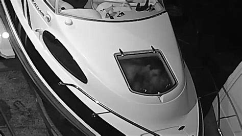 Watch Amorous Thieves Filmed Having Sex On Boat Metro Video