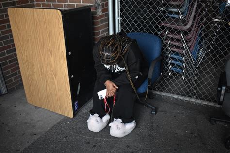 Fizzy Fox Review The Lafayette Times