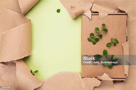 초록색 나뭇잎 새싹이 공예 종이 위에서 골판지 상자에서 자라는 개념 플라스틱 프리 폐기물 제로 지속 가능한 라이프스타일 및 에코 패킹 개념에 대한 스톡 사진 및 기타 이미지