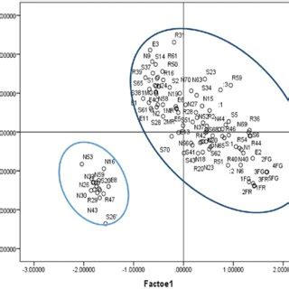 Two Dimensional Plot Of 120 Accessions Of New Kiwifruit Genotypes By