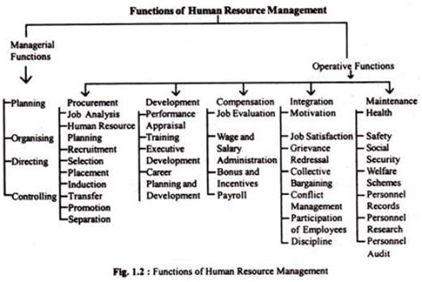 Concept Of Hrm Nature Scope Functions Models Of Hrm