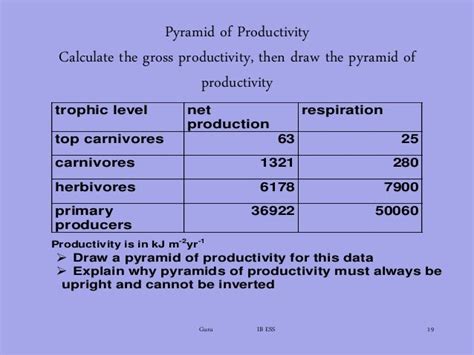 Primary Productivity Files