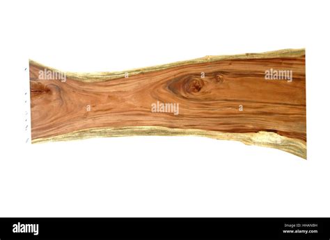 Board Isolated Model Design Project Concept Plan Draft Tree Space Stock Photo Alamy