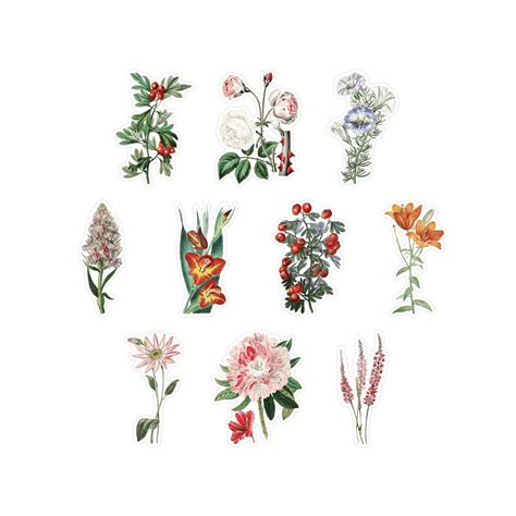 Stiker Bunga Hand Drawn Agette