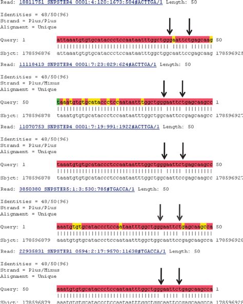 Five Reads From Na202057 Showing Aga Exon 4 C488gc C163s