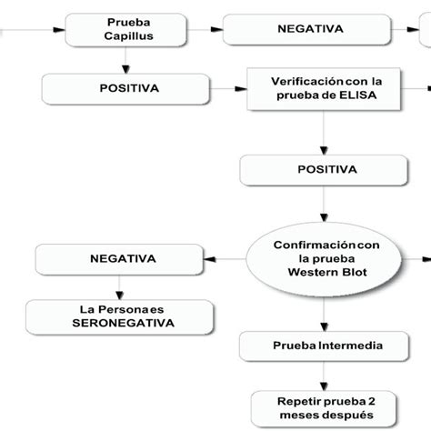 Algoritmo De Pruebas Diagnosticas Para VIH En Nicaragua Download Scientific Diagram