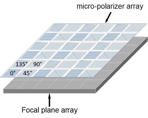 Schematic Structure Of A Dofp Sensor Download Scientific Diagram