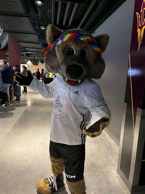 After A Tumultuous Year Behind The Scenes Of The Nhls First Pride