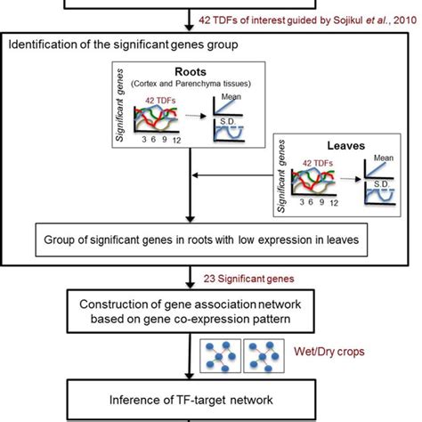 Cis Regulatory Element Analysis In The Upstream Region Of The