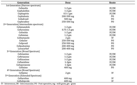 Cephalosporin Antibiotics Boc Sciences