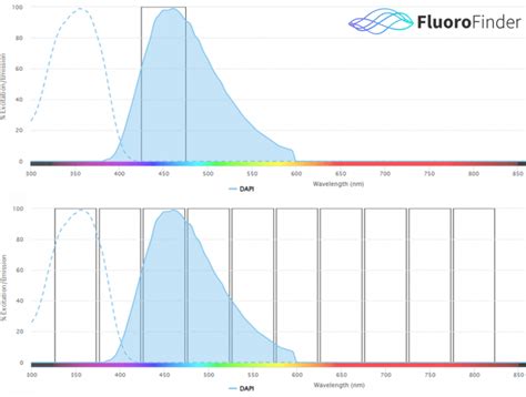 Newsletter Considerations For Spectral Flow Cytometry Panel Design FluoroFinder