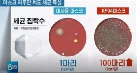 마스크를 쓰면 피부가 안 좋아지는 이유 유머움짤이슈 에펨코리아