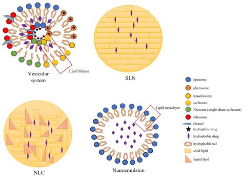 Nanomaterials Free Full Text Improved Activity Of Herbal Medicines