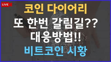 비트코인 시황 2월 15일 Youtube