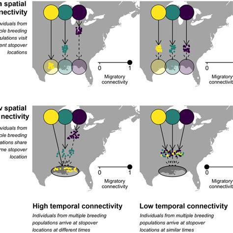Theoretical Snapshot Of The Spatial And Temporal Components Of