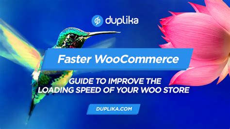 Optimize And Improve WooCommerce Speed FastWeb