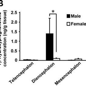 Sex Differences In The Concentration And Production Of 7 And Download Scientific Diagram
