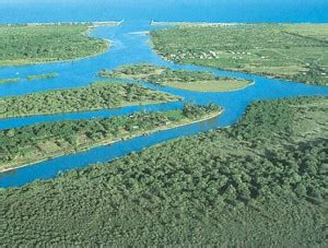 Llanura Costera Y Llanura De Marea La Guía De Geografía