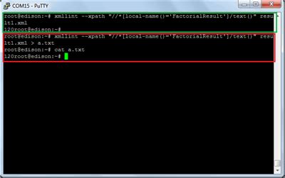 Calling SOAP WebService And Parsing The Result From Linux Shell A