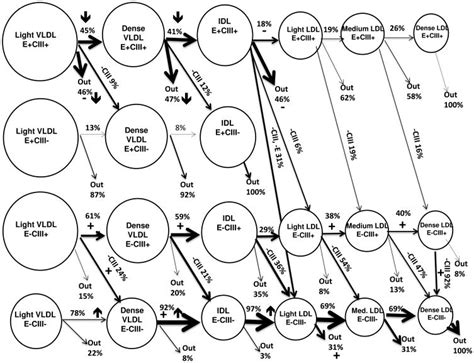 The Crucial Roles Of Apolipoproteins E And C Iii In Apob Lipoprotein Metabolism In