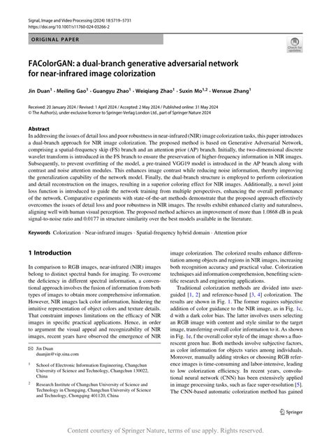 facolorgan a dual branch generative adversarial network for near infrared image colorization