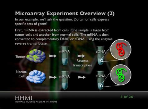 Click And Learn How To Analyze Dna Microarray Data