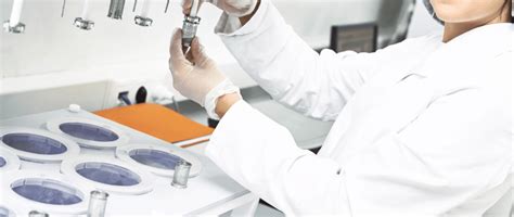 The Dissolution Solution Meaningful Drug Development Hmr Labs