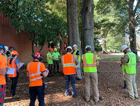 Tree Risk Assessment Charleston SC Connor Tree Service LLC