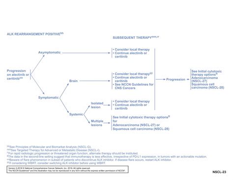 Nccn Nonsmall Cell Lung Cancer Guidelines Update Slides