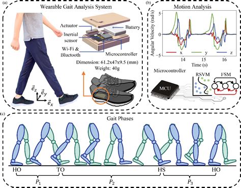 Figure 1 From Real Time Gait Phase Detection On Wearable Devices For