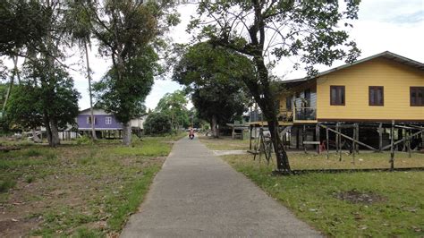 My Blog 210 Sang Rangkak Di Batang Selumit