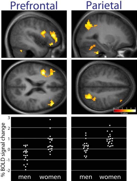 Sex Based Differences In The Behavioral And Neuronal Responses To Food