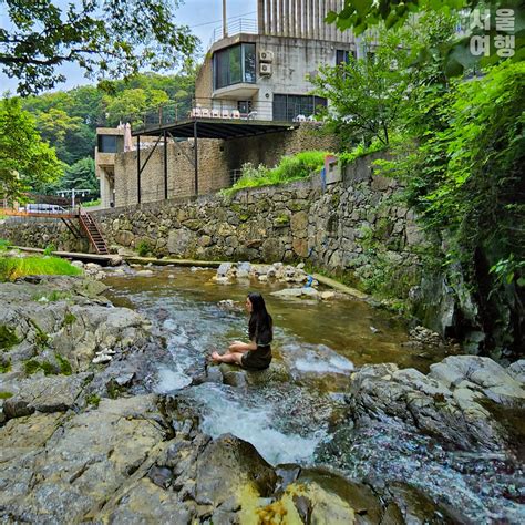 서울여행 서울근교 물놀이 하기 좋은 초 대 형 숲속 계곡 펜션🌳 펜션 바로 앞 시원한 계곡도