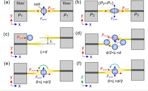 Figure 1 From Dual Fiber Microfluidic Chip For Multimodal Manipulation