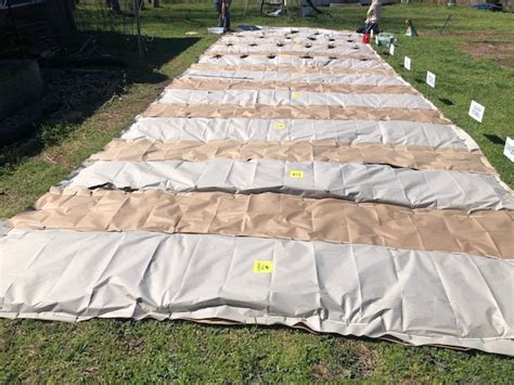 Perrys Lazy Crazy Garden System