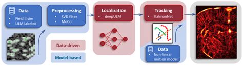 Hybrid Ultrasound Localization Microscopy Ulm Pipeline With