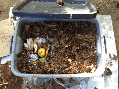 Diy Worm Composting Bin The Garden
