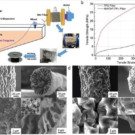 Pdf Multi Walled Carbon Nanotubes Based Sensors For Strain Sensing